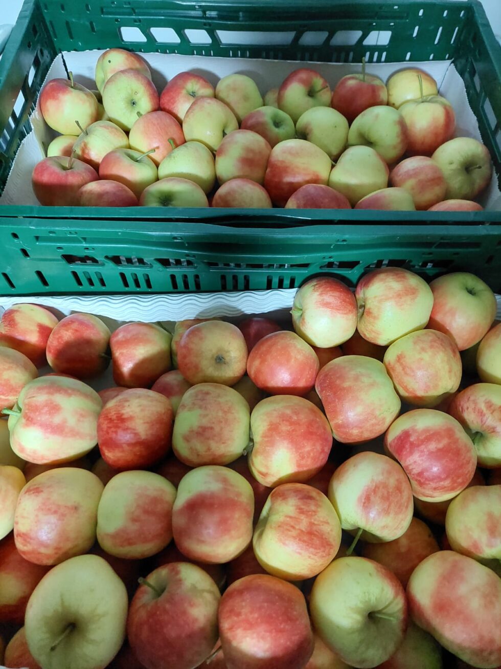 WAT EEN PRACHTIGE DONATIE! | Voedselbank Zuidoost Drenthe